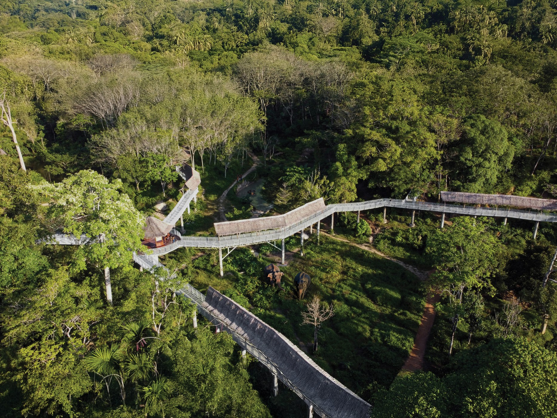 Walkway Canopy System in Thailand | Phuket Elephant Sanctuary